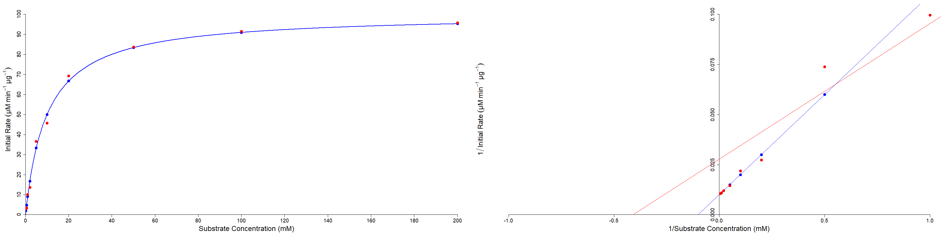 Graphing Enzymes